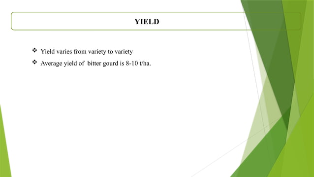 bitter gourd ppt.pptx presentation on the topic of bitter | PPT