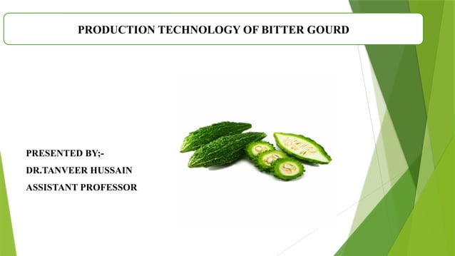 bitter gourd ppt.pptx presentation on the topic of bitter | PPT