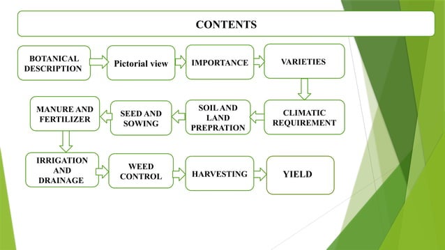 bitter gourd ppt.pptx presentation on the topic of bitter | PPT