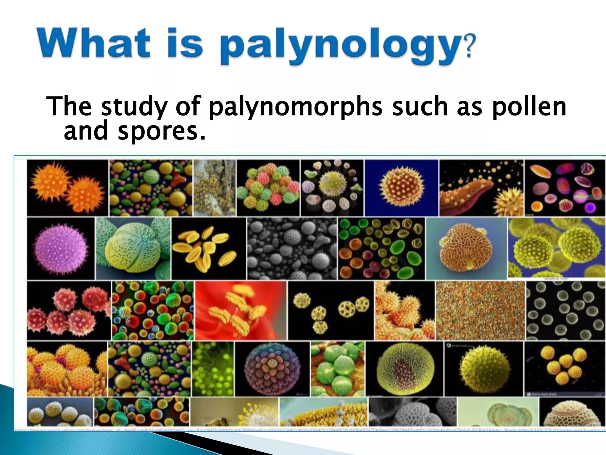 Find the culprit 101/ Introduction to Forensic Palynology | PPTX