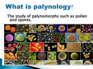 Find the culprit 101/ Introduction to Forensic Palynology | PPTX