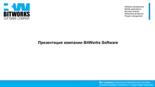 Bitworks presentation 2015_v3 | PPT