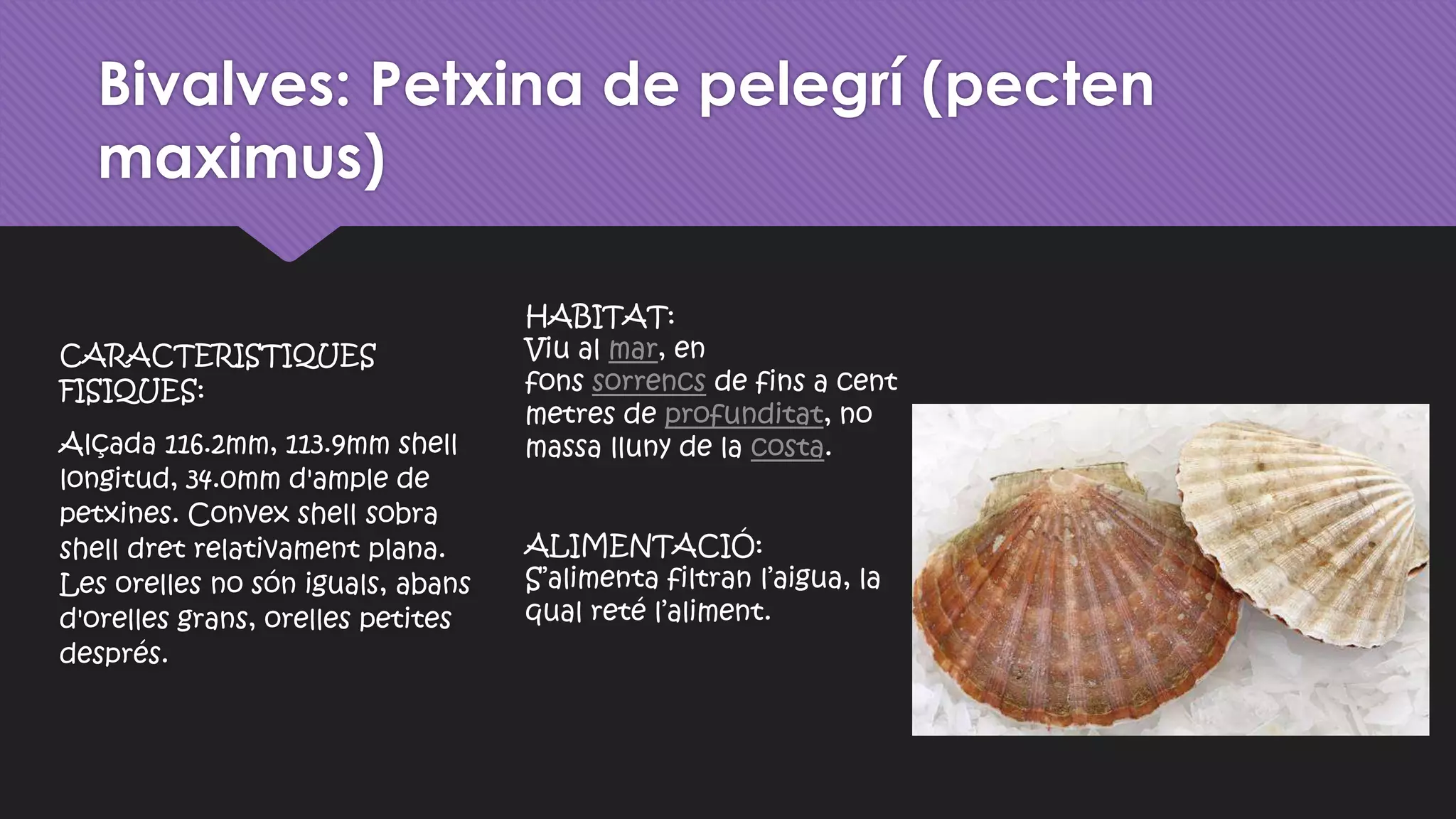 Bivalves petxina de peligrí | PPTX