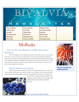 Bivalvia | PDF
