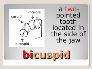 Bi vocabulary words | PPT