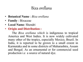 Bixa | PPT