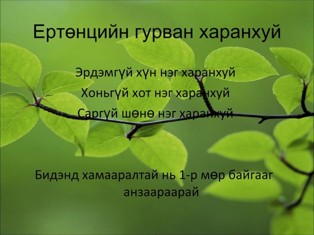 Biye tsahilgaanjih 7 | PPT