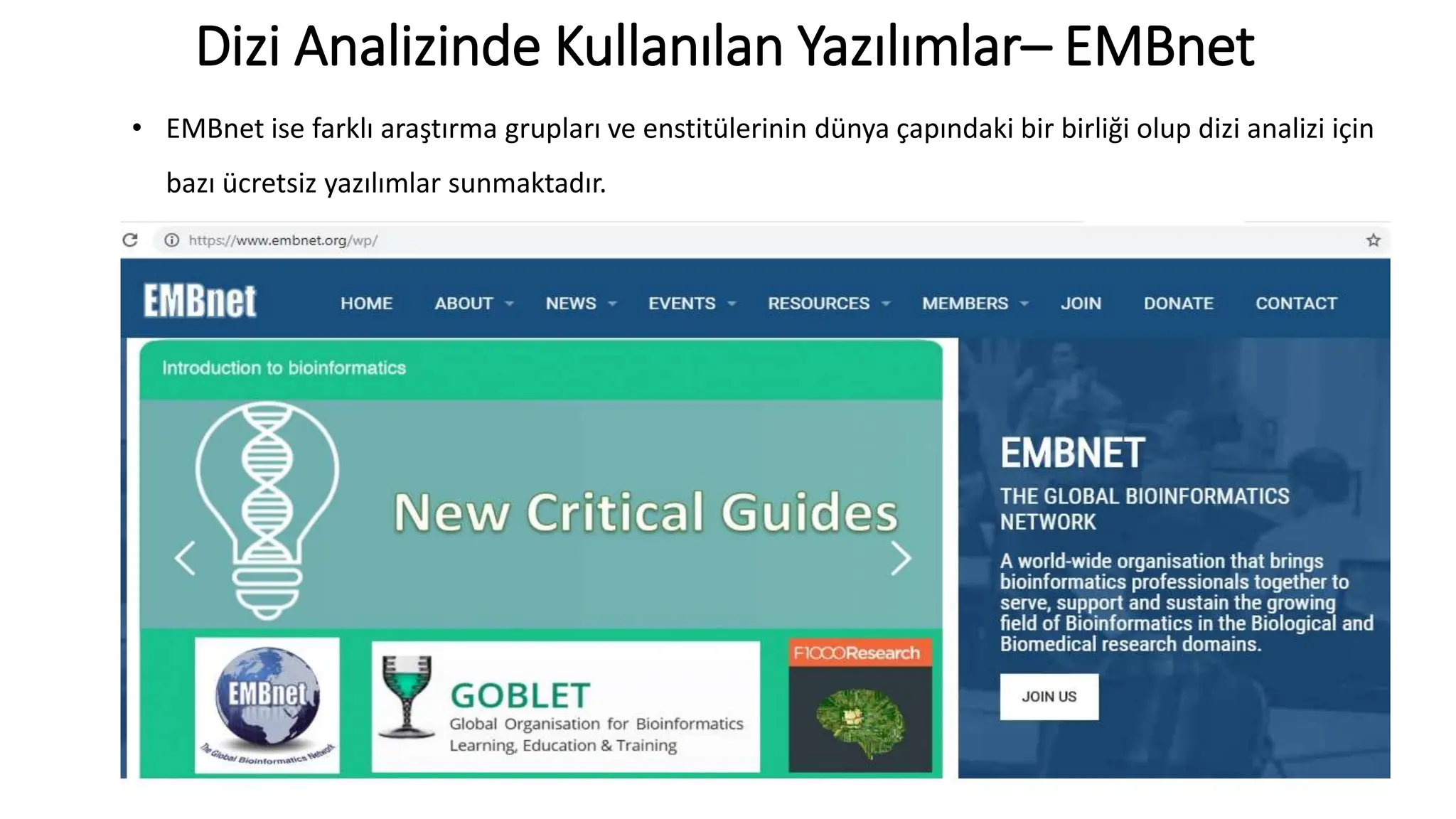 Bioinformatics 3 Sequence Analysis Yildiz Ppt