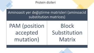 Bioinformatics-3-sequence_analysis_yildiz | PPTX