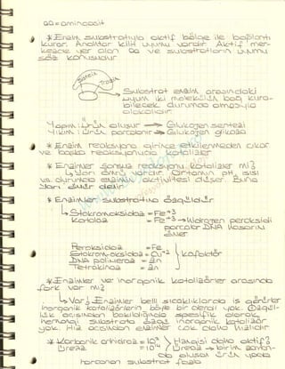 Biyokimya final ders notları | PDF