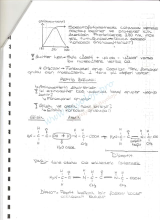 Biyokimya 1 ders notları | PDF