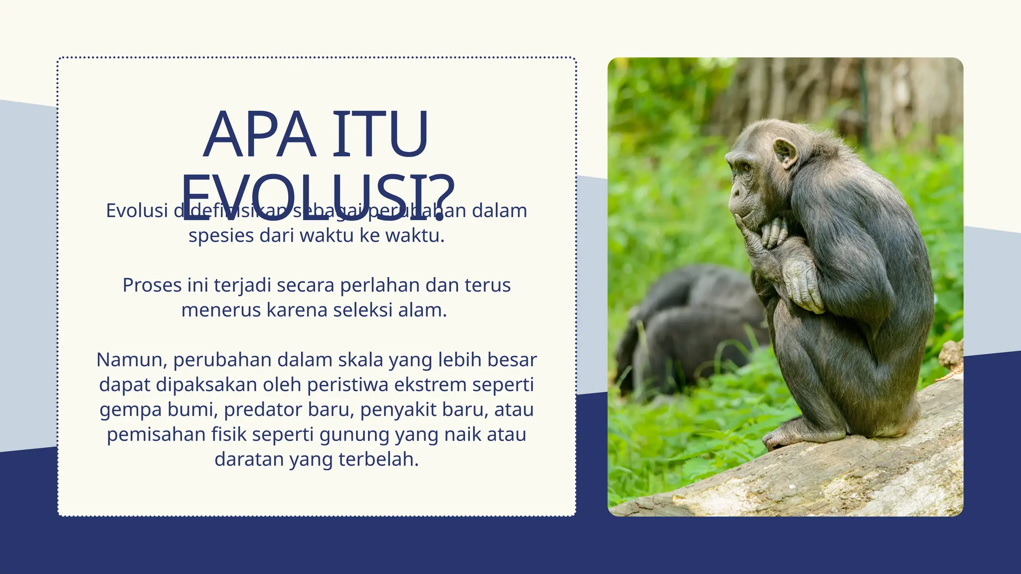 Biologi Kelas 12 Materi Evolusi dan Seleksi Alam | PPTX