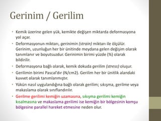 Biyomekanik ve champy | PPTX