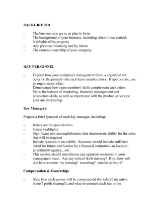 Biz plan-template | PDF