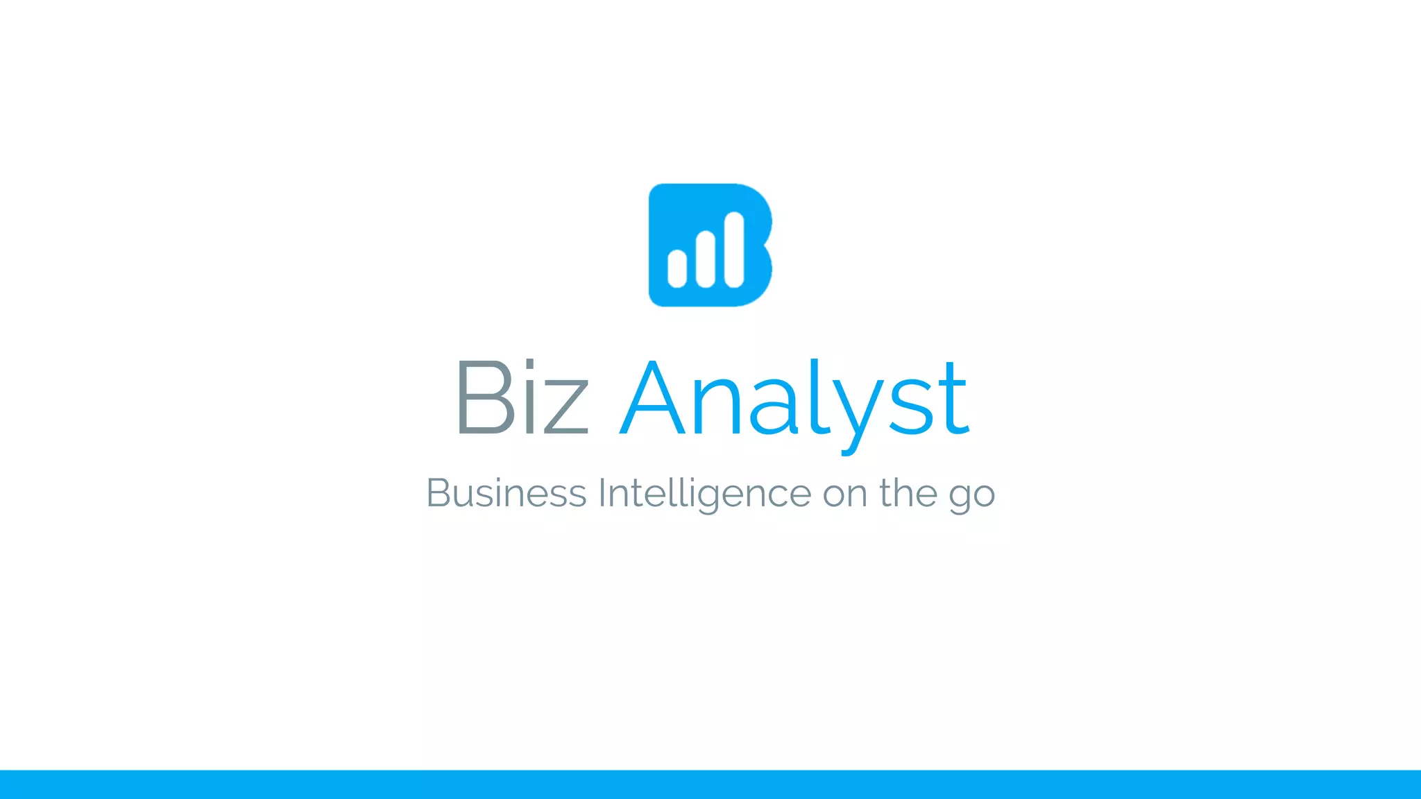 Biz Analyst Desktop App Setup | PDF