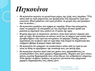 Πιγκουίνοι | PPT