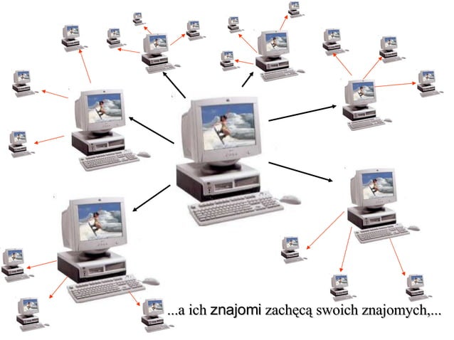 Biznes plan przedsiębiorstwa internetowego MLM | PPS