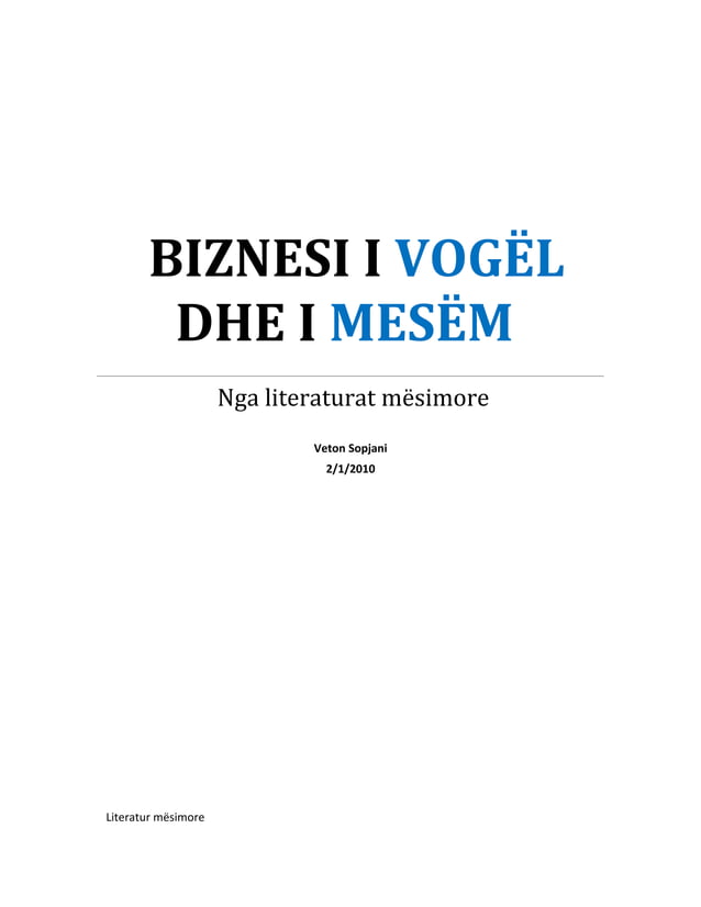 Biznesi i vogël dhe i mesëm | DOC