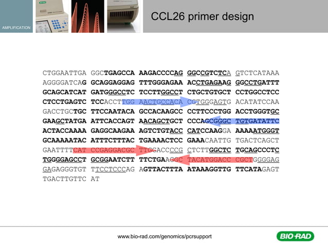 Fast qPCR assay optimization and validation techniques for HTS | PDF