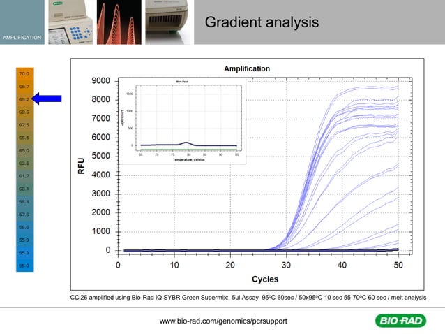 Fast qPCR assay optimization and validation techniques for HTS | PDF