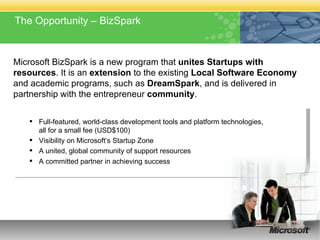 Biz Spark Presentation | PPT