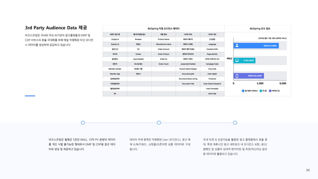 Introduction of BizSpring Inc. | PPT