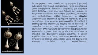 παραδοσιακη φορεσια κερκυρας | PPTX