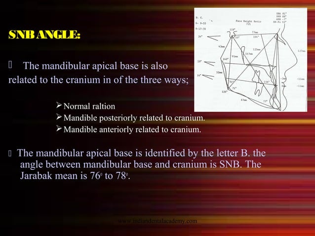 Bjork& jarabak cephalometric analysis | PPT