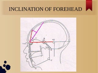Bjorks analysis | ODP