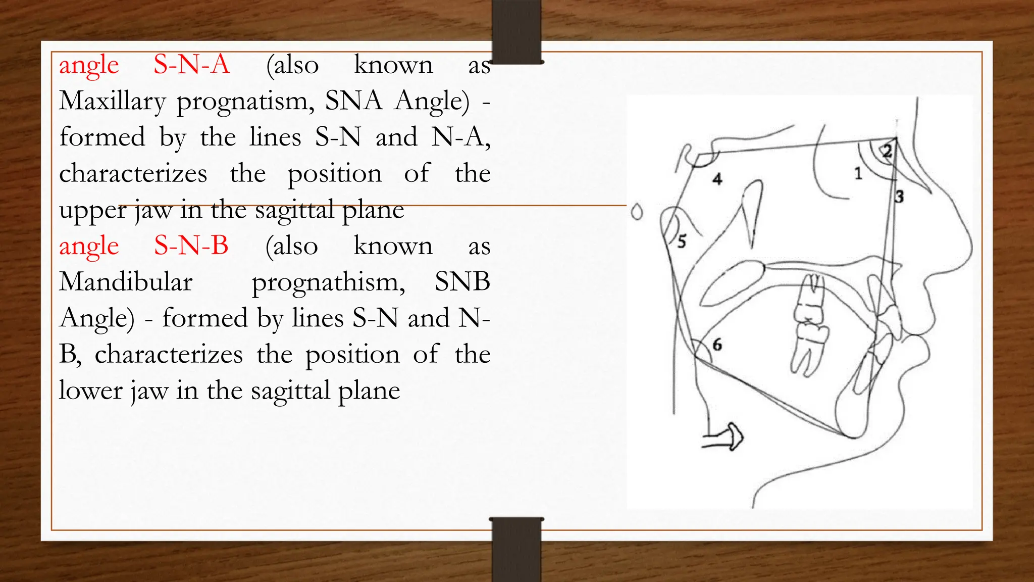 BJORKS CEPHALOMETRIC ANALYSIS. ORTHODONTICS pptx | PPTX