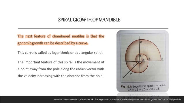 Bjork’s Concept of Jaw Rotation | PPTX | Bone and Joint Conditions ...
