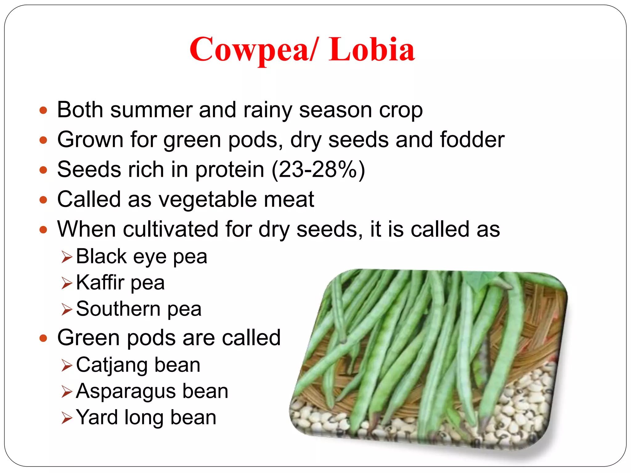 production technology in cowpea | PPTX