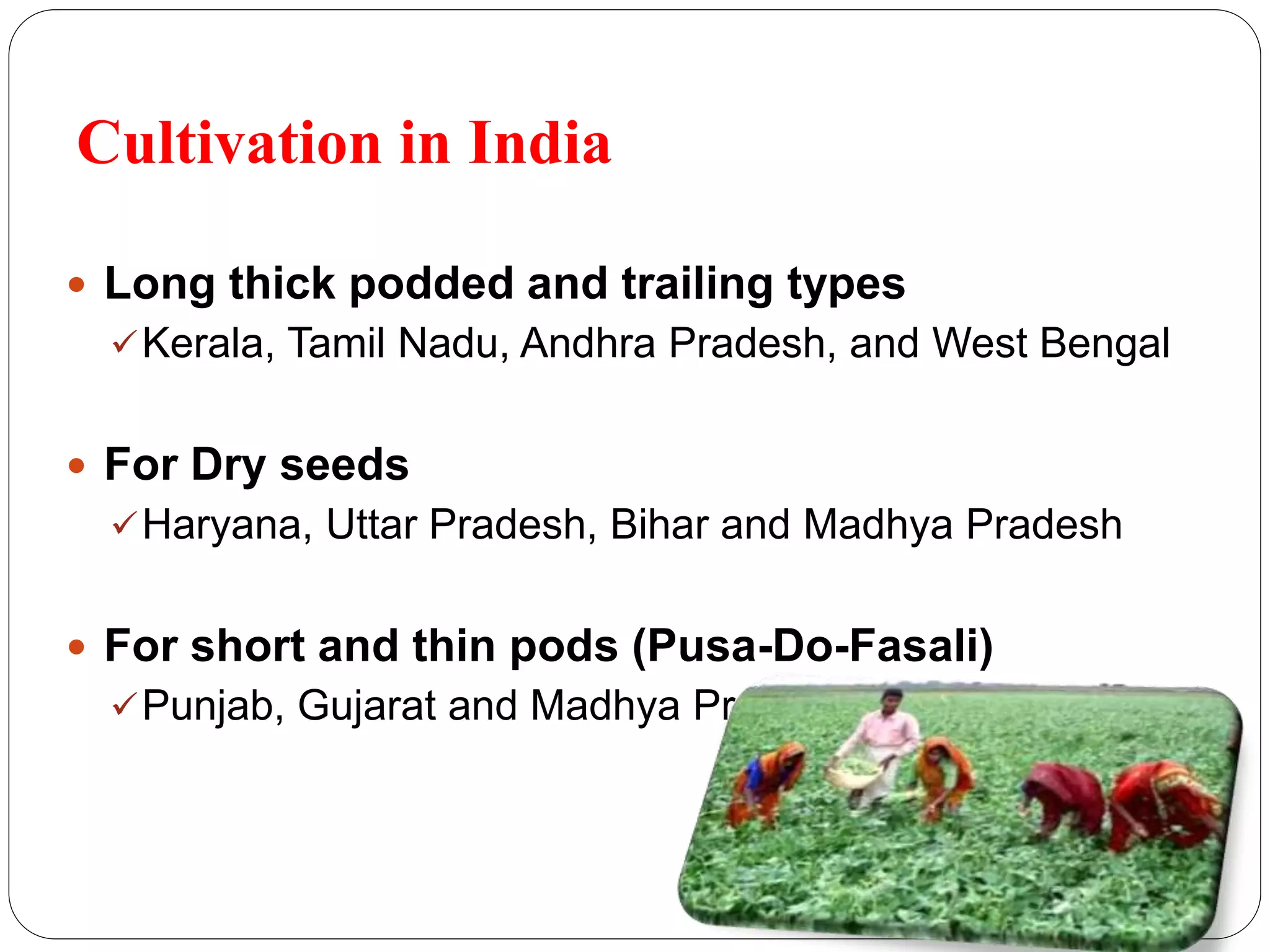 production technology in cowpea | PPTX
