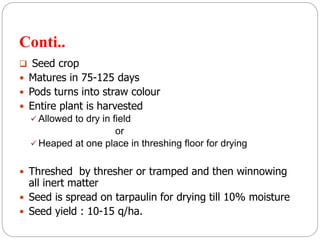 production technology in cowpea | PPTX