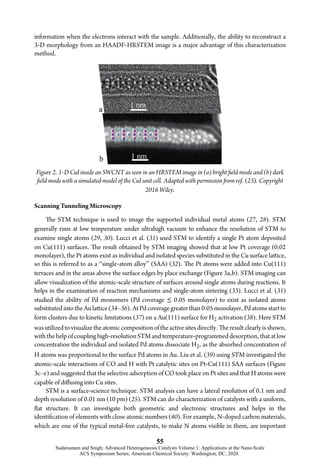 State of the Art in the Characterization of Nano- and Atomic-Scale Catalysts | PDF