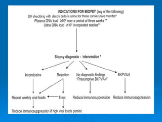 Bk Polyoma Virus | PPT | Infectious Diseases | Diseases and Conditions
