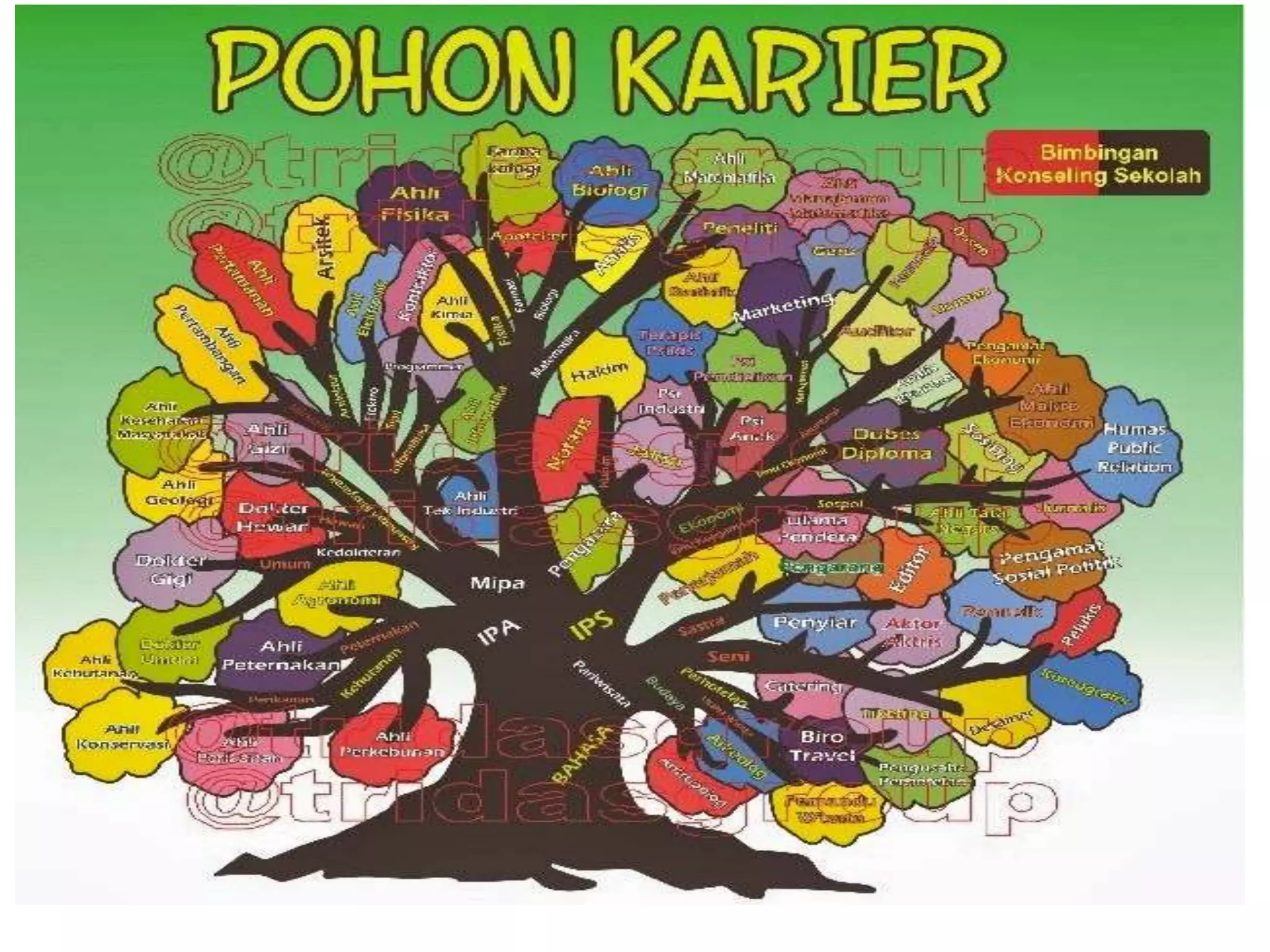 Bk 3 pohon karir | PPTX