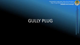 BKTA - Gully Plug Kab. Bone Bolango 2020 | PPT