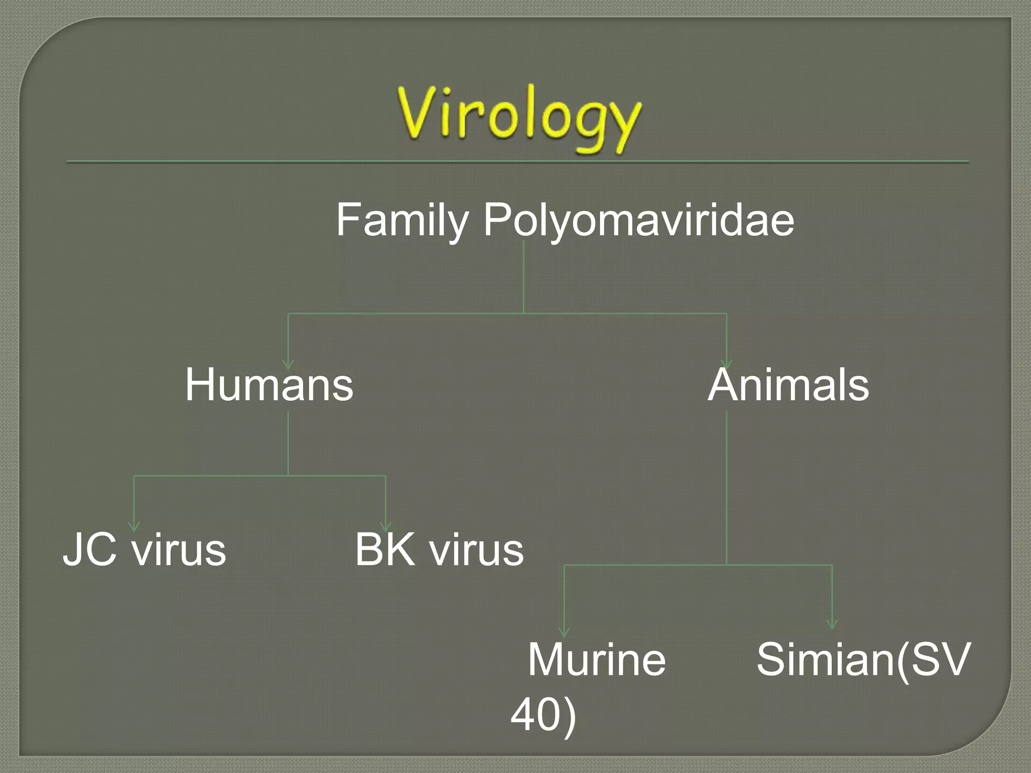 Bk virus nephropathy | PPTX