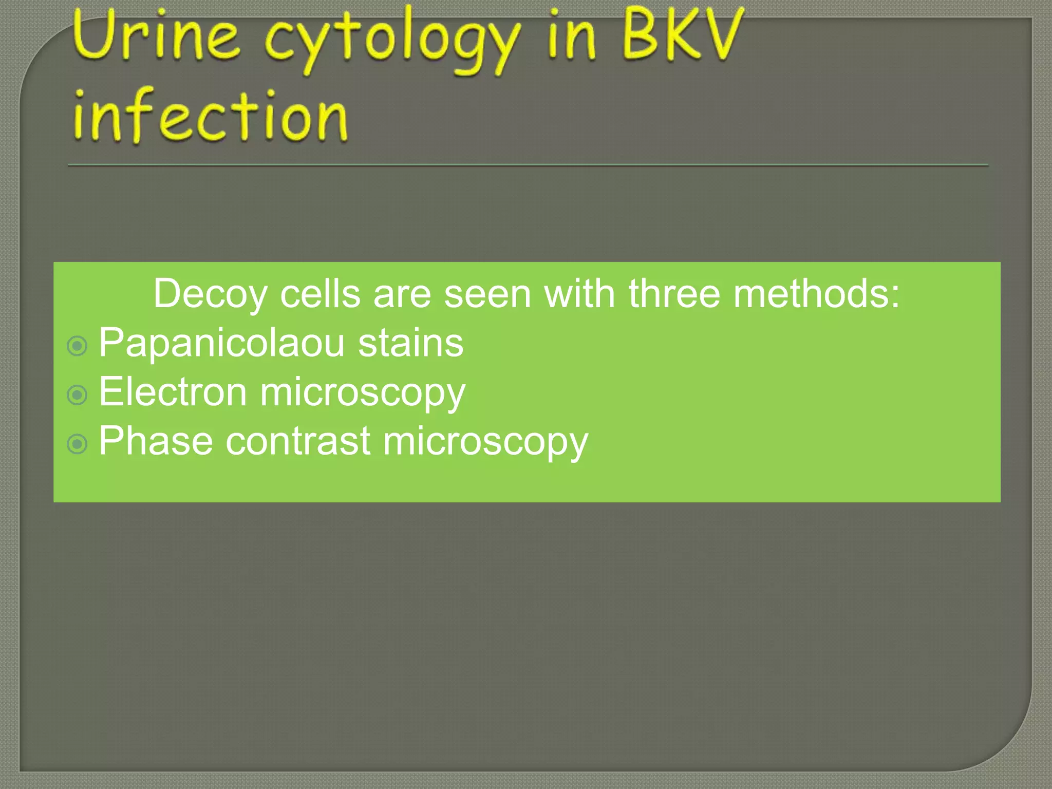 Bk virus nephropathy | PPTX
