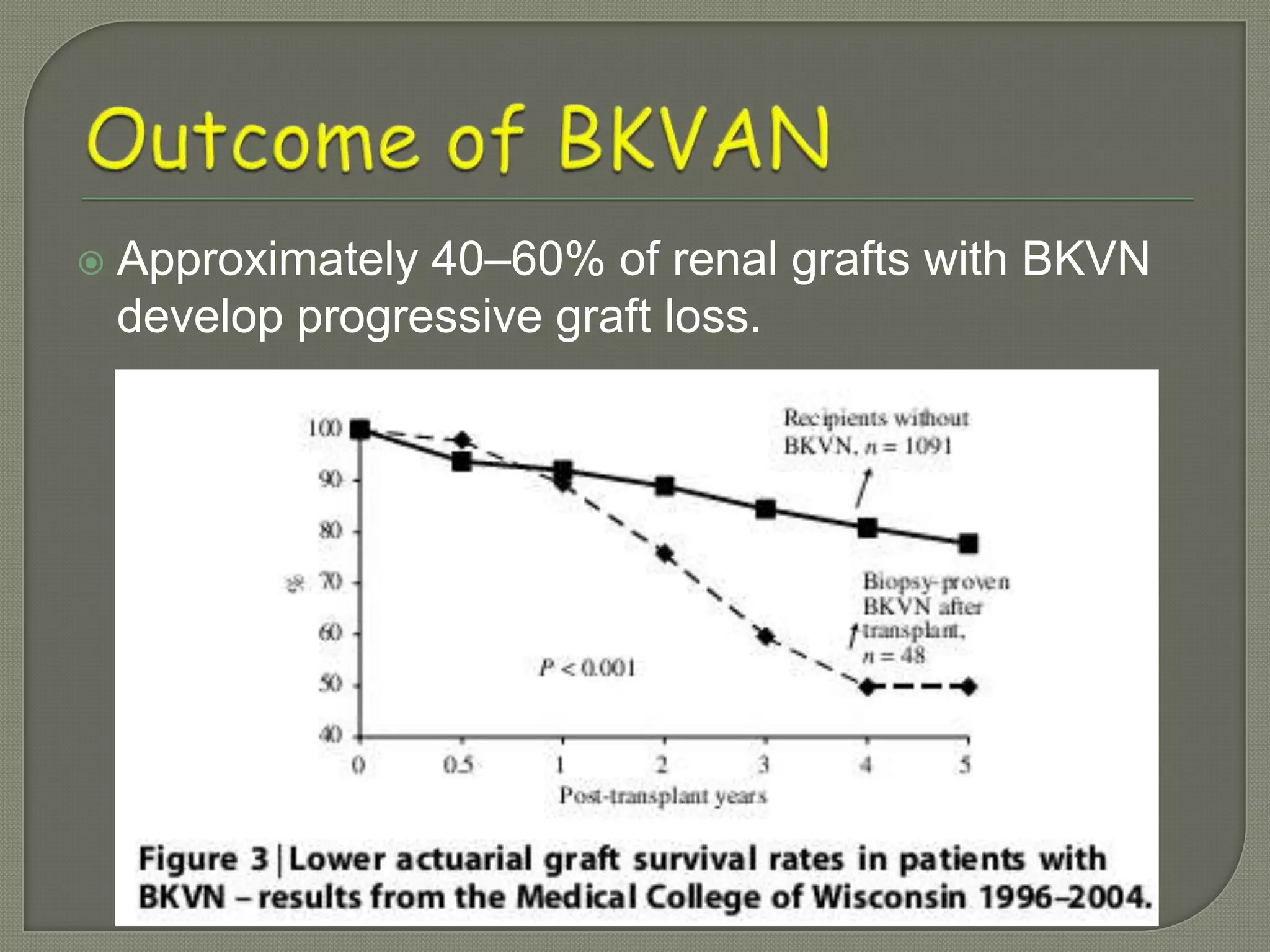 Bk virus nephropathy | PPTX