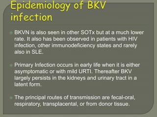 Bk virus nephropathy | PPTX