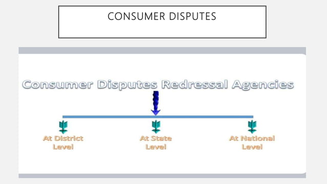 Consumer Redressal Commission | PPTX
