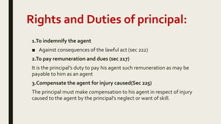 Law Of Agency, 4th Edition LexisNexis Australia, 06/16/2024