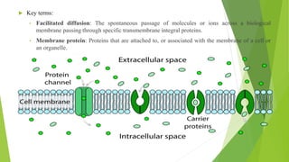 Transport across the cell membrane | PPT
