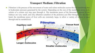 Transport across the cell membrane | PPT