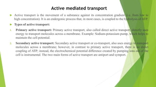 Transport across the cell membrane | PPT