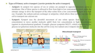 Transport across the cell membrane | PPT