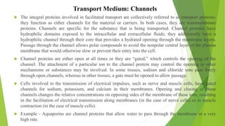 Transport across the cell membrane | PPT
