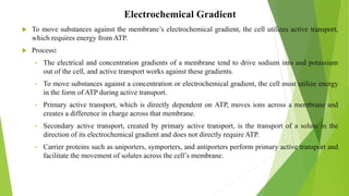 Transport across the cell membrane | PPTX